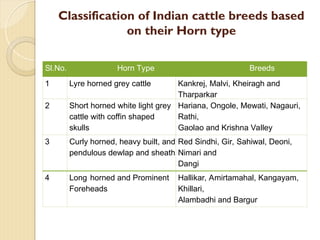 1. breeds of cattle.ppt.ppt