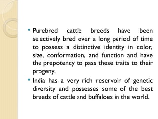 1. breeds of cattle.ppt.ppt