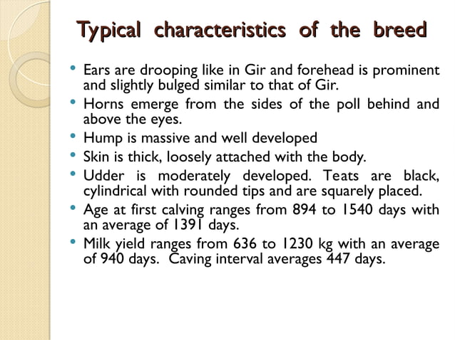 1. breeds of cattle.ppt.ppt