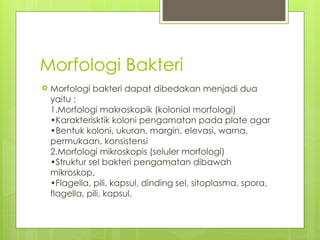 berbagai macam morfologi bakteri dan sifat bakteri | PPT