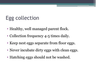 1. Care during selection and storage of eggs.pptx