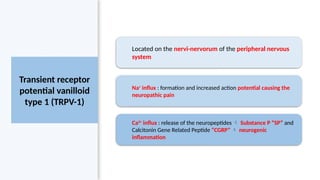 1. NRT for Chronic Pain slide share.pptx