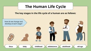 1.-HUMAN-DEVELOPMENT para sa education units | PPTX