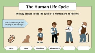 1.-HUMAN-DEVELOPMENT para sa education units | PPTX