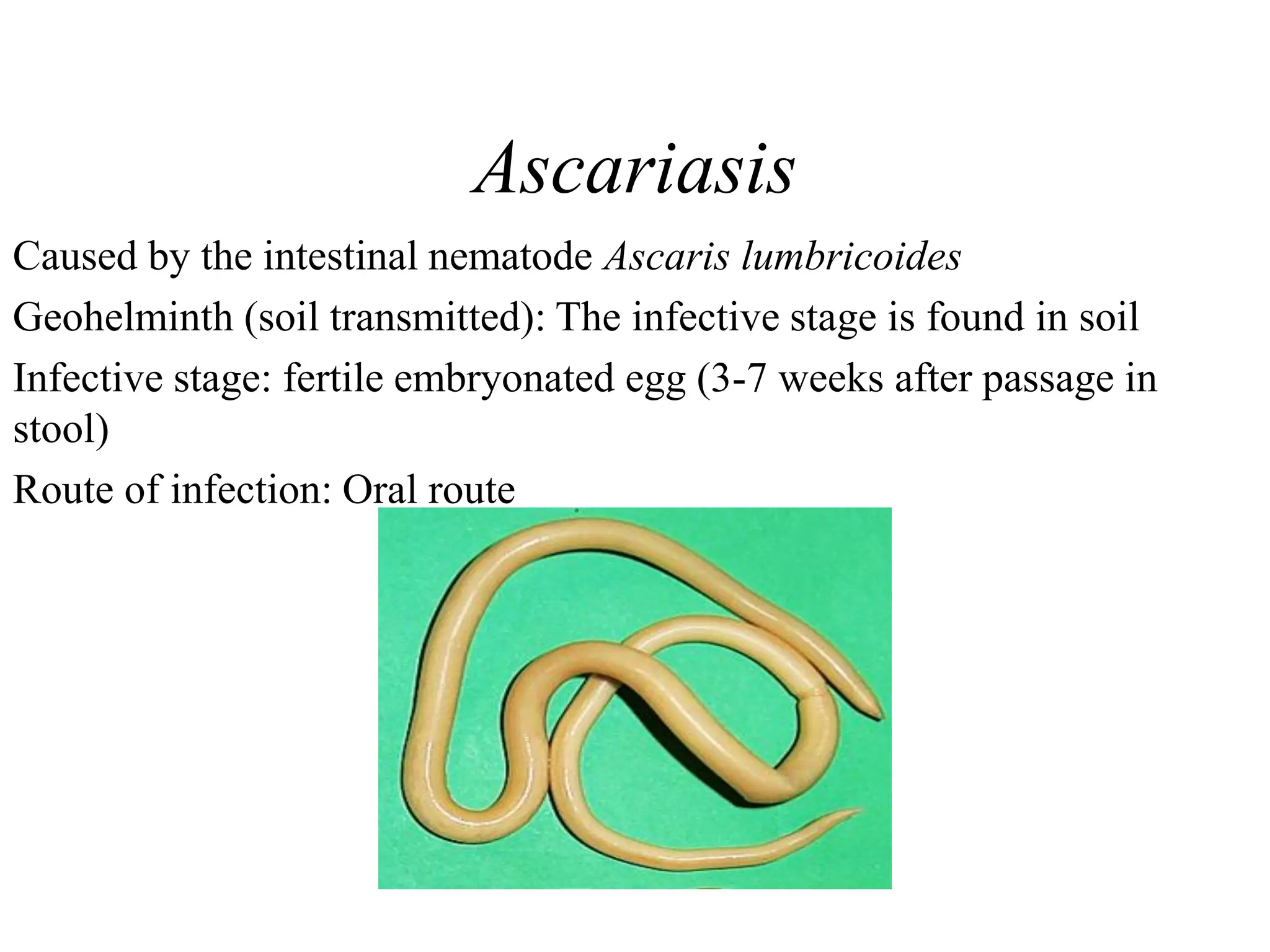 1. Ascariasis-1.pdf the lifecycle diagnosis the prevention and ...