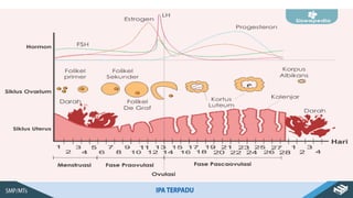 BAB 1 SISTEM REPRODUKSI MANUSIA MATERI IPA KELAS 9 SEMESTER 1 .pptx