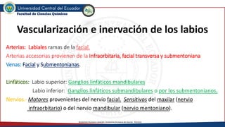 1. Anatomia (SISTEMAS) Ciencias Quimicas | PDF