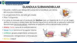 1. Anatomia (SISTEMAS) Ciencias Quimicas | PDF