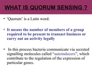 Quorum sensing pada bakteri sebagai bentu komunikasi | PPT