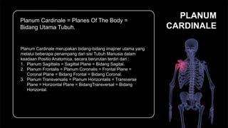 DASAR - DASAR ANATOMI MANUSIA (SARJANA KEBIDANAN) | PPTX