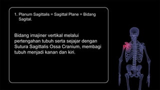 DASAR - DASAR ANATOMI MANUSIA (SARJANA KEBIDANAN) | PPTX