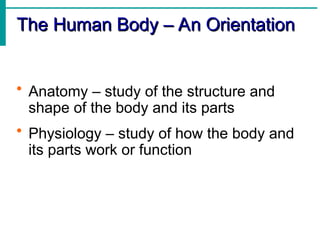 1. Introduction of human anatomy and physiology.ppt