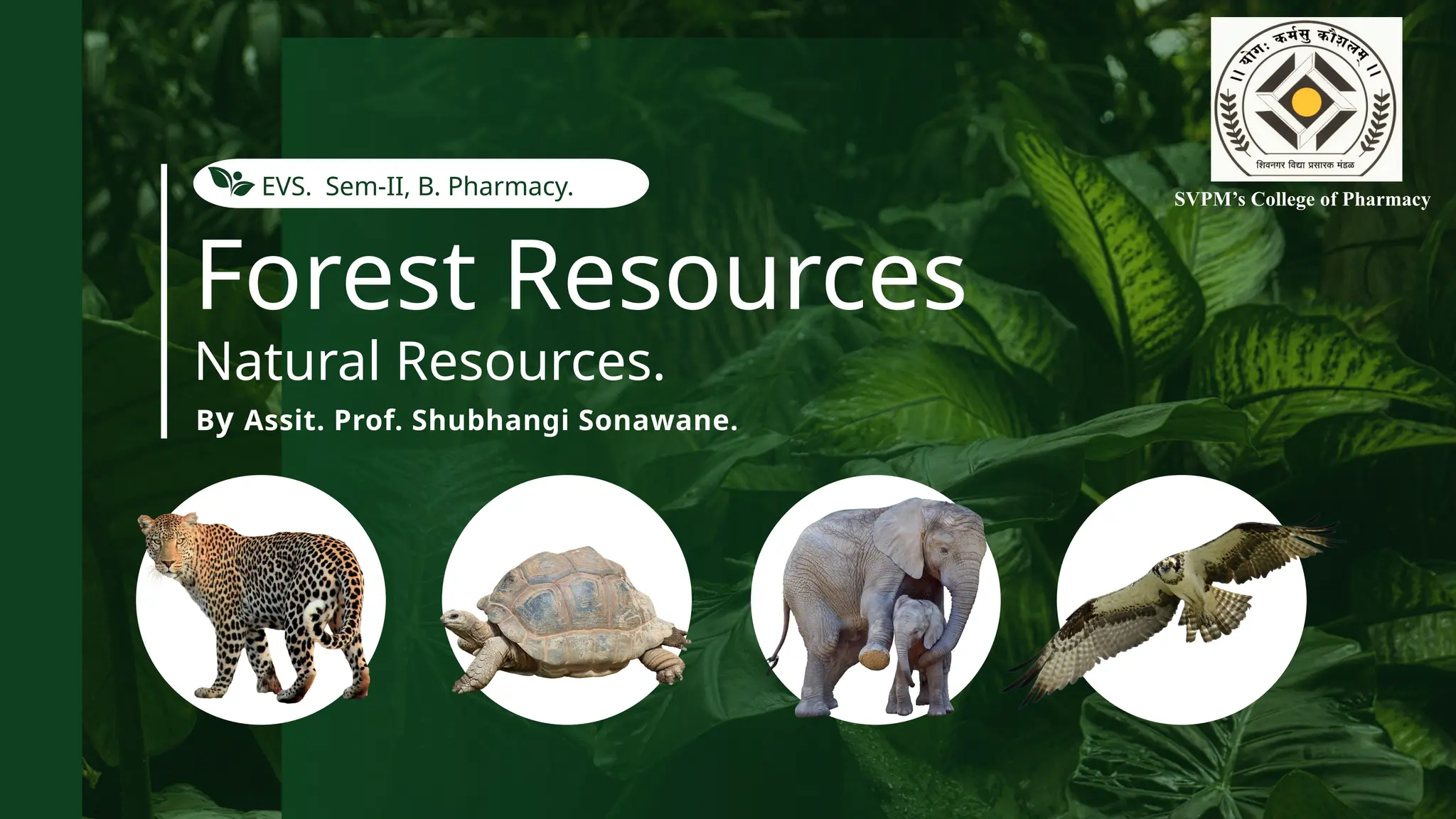 Forest Resources( B. Pharmacy, 1st Year, Sem-II) Natural Resources | PPTX
