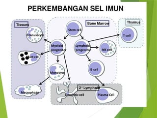 1. Imunologi Dasar aaaaaaaaaaaaaaaa.pptx