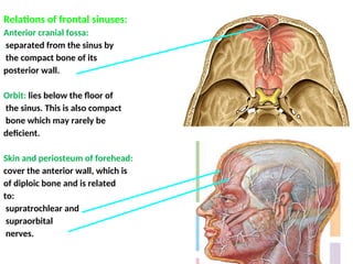 1. Anatomy _ Physiology of the Nose and Paranasal Sinuses .ppt