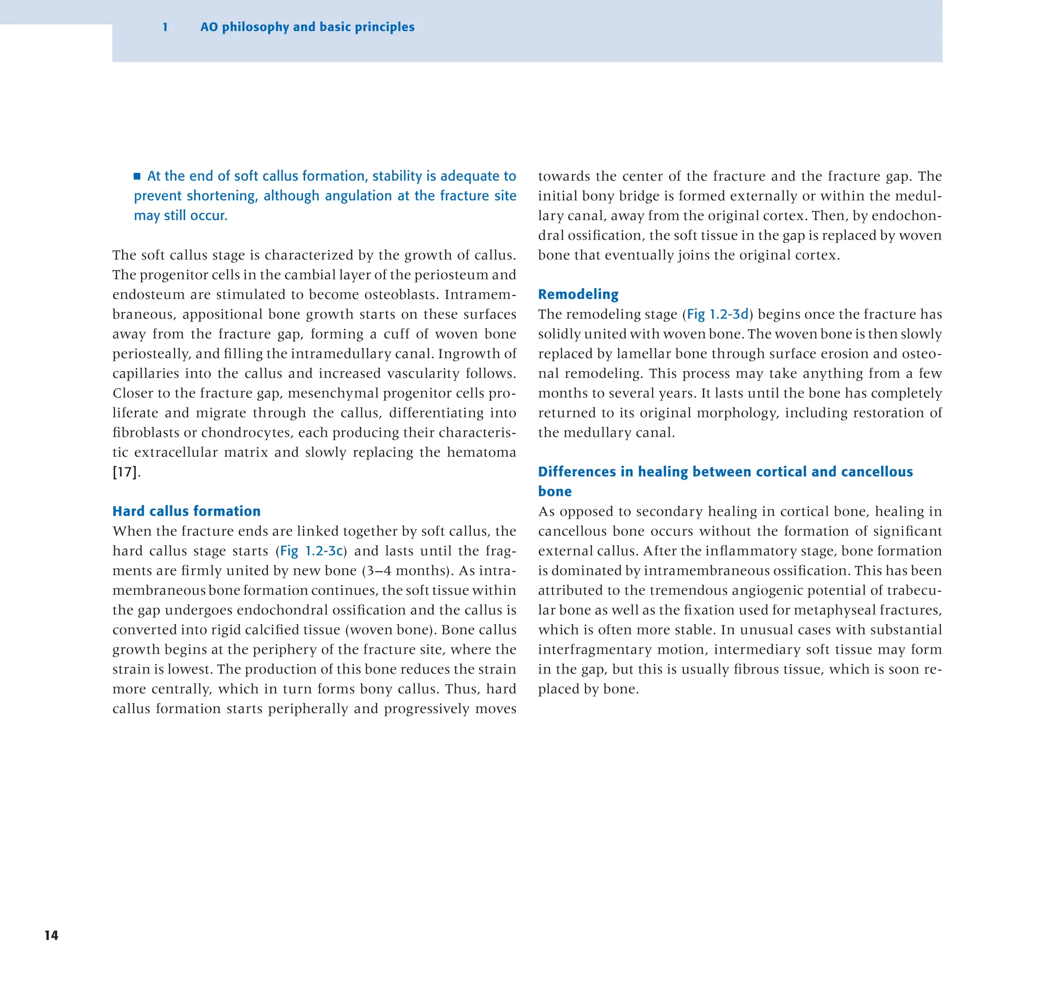 AO Trauma orthopaedic principle of fracture management .pdf