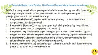 Morfologi Daun (folium) pada tumbuhan... | PPTX