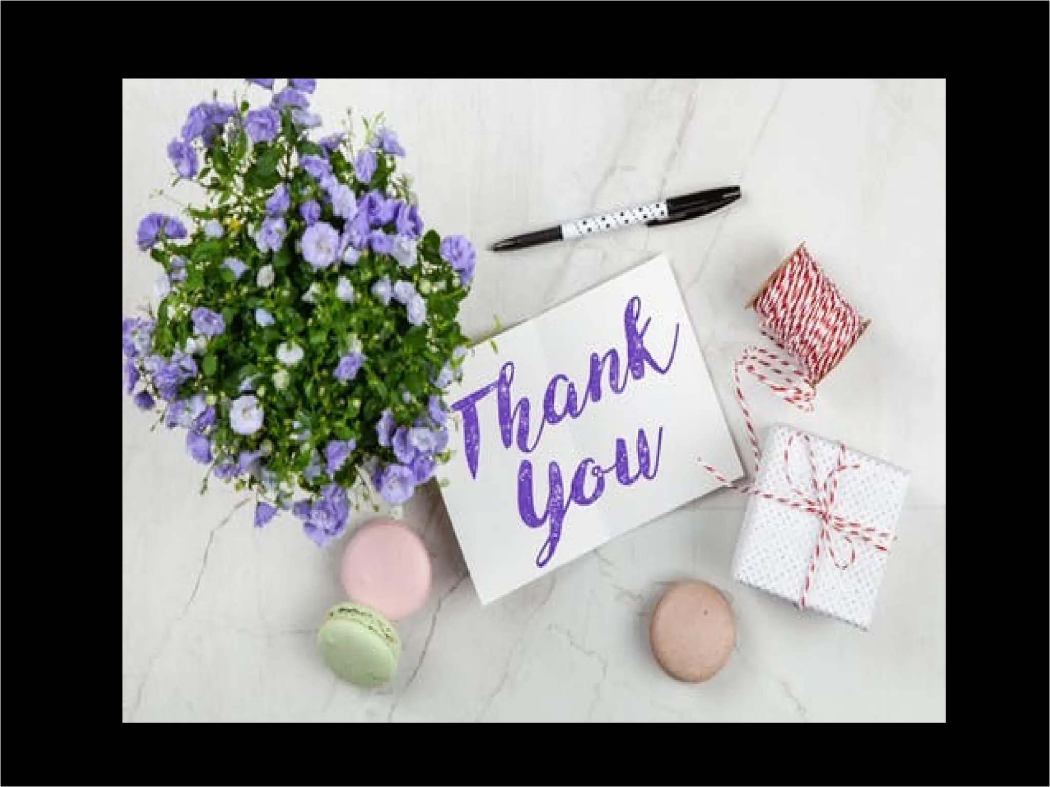 1.Internal and external organs grade 3 Science.pptx