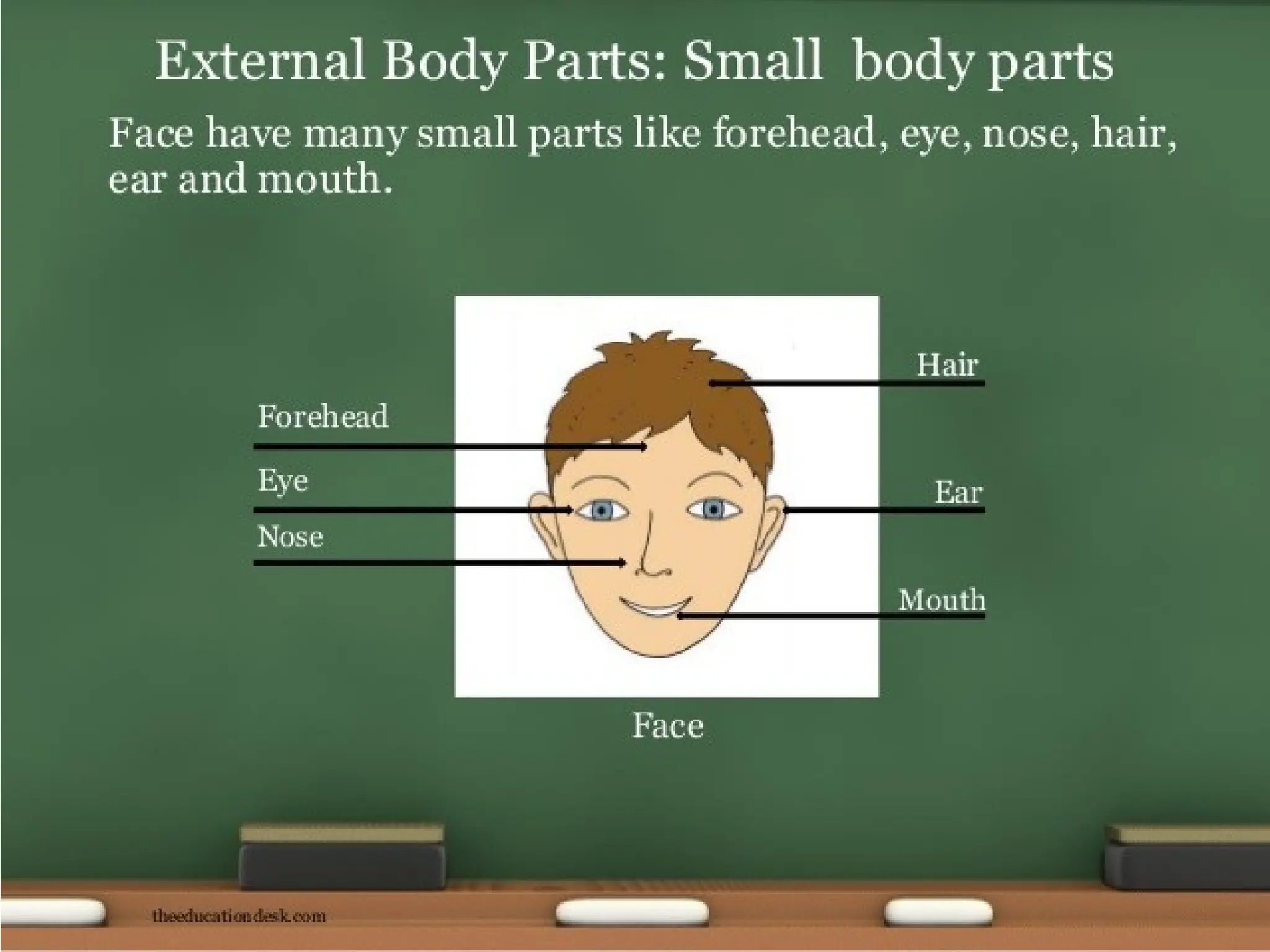 1.Internal and external organs grade 3 Science.pptx