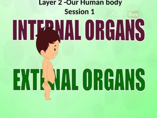 1.Internal and external organs grade 3 Science.pptx
