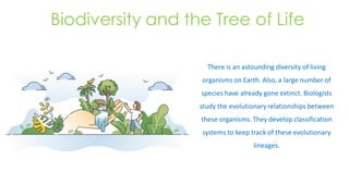 1.2_Classification of Life.pdf, biological sciences | PDF