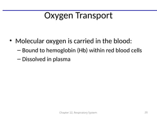 Oxygen Co2 Transport in the Lungs(Exchange og gases) | PPT