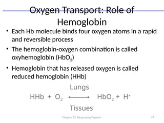 Oxygen Co2 Transport in the Lungs(Exchange og gases) | PPT