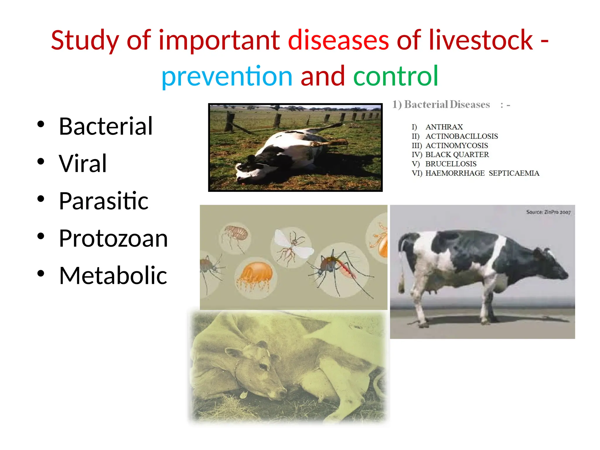 1. Introduction.pptx animal science presentation | PPTX