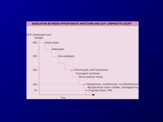 DIAGNOSTICO Y TRATAMIENTO VIH PEDIATRIA 2019.ppt