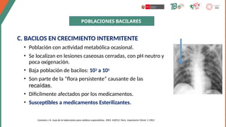 1. TERAPIA PREVENTIVA TUBERCULOSIS MINSA | PPTX