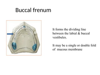 1. Maxillary-Landmarks PROSTHODONTICS .ppt