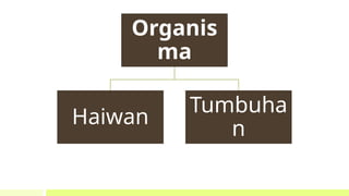 SAINS TINGKATAN DUA BAB 1: BIODIVERSITI ( PENGELASAN ORGANISMA) | PPTX
