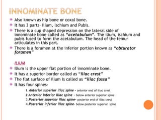 1.7 Pelvis NLHT.pptx telling more information | PPTX