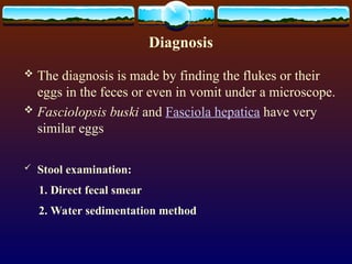 Intestinal Trematodes cause mode of transmission and treatment | PPT