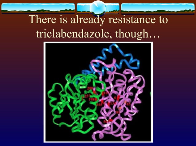 Intestinal Trematodes cause mode of transmission and treatment | PPT