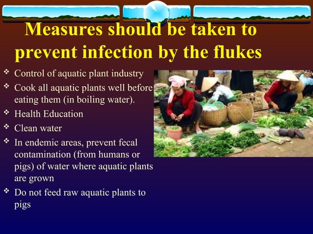 Intestinal Trematodes cause mode of transmission and treatment | PPT