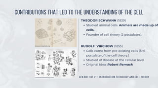 1.1 Intro to Biology and Cell Theory (3).pdf