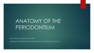 1.Anatomy of periodontium for 3rd year bds | PPTX
