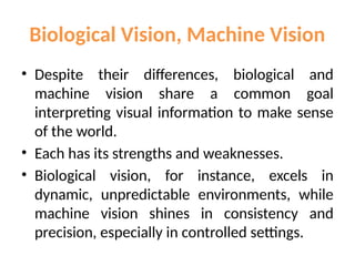 Introducing Deep Learning Concept Biological and Machine Vision | PPTX