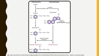 1.2 Eje Hipotálamo – Hipofisario y ciclo menstrual.pptx