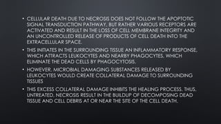 CELL DEATH presentation in oral pathology | PPTX