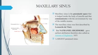 Maxillary sinus in periodontology .pptx