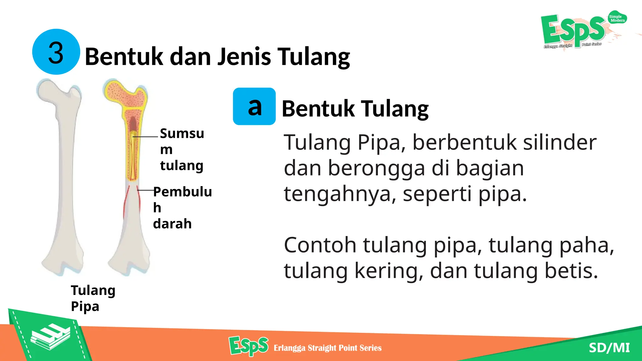 PPT IPAS kelas 6 materi alat gerak manusia | PPTX