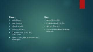 1 . rhinitis and its pathogenesis & management. | PPTX