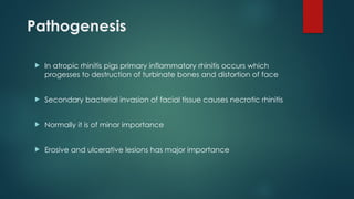 1 . rhinitis and its pathogenesis & management. | PPTX