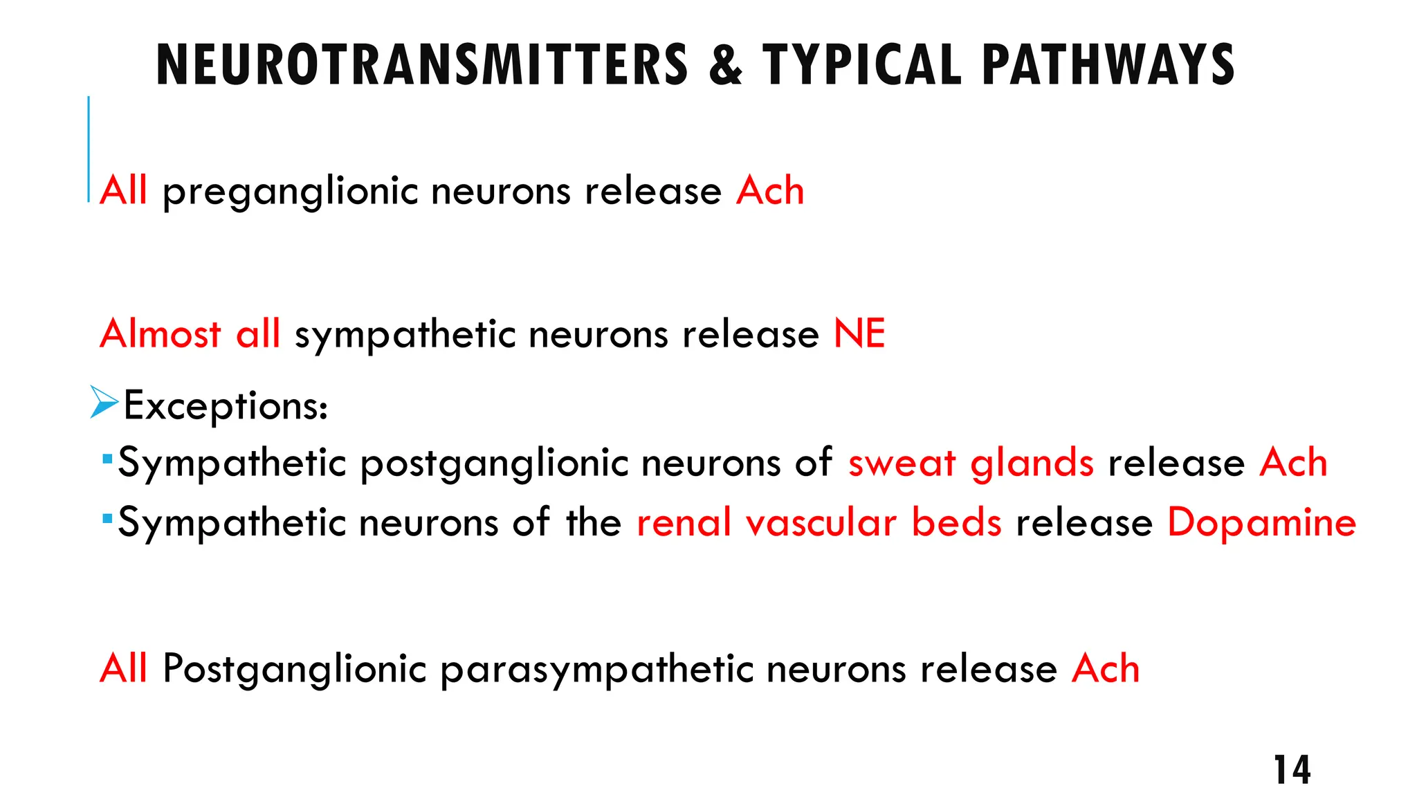 1. anatomy of Autonomic Nervous System...pdf