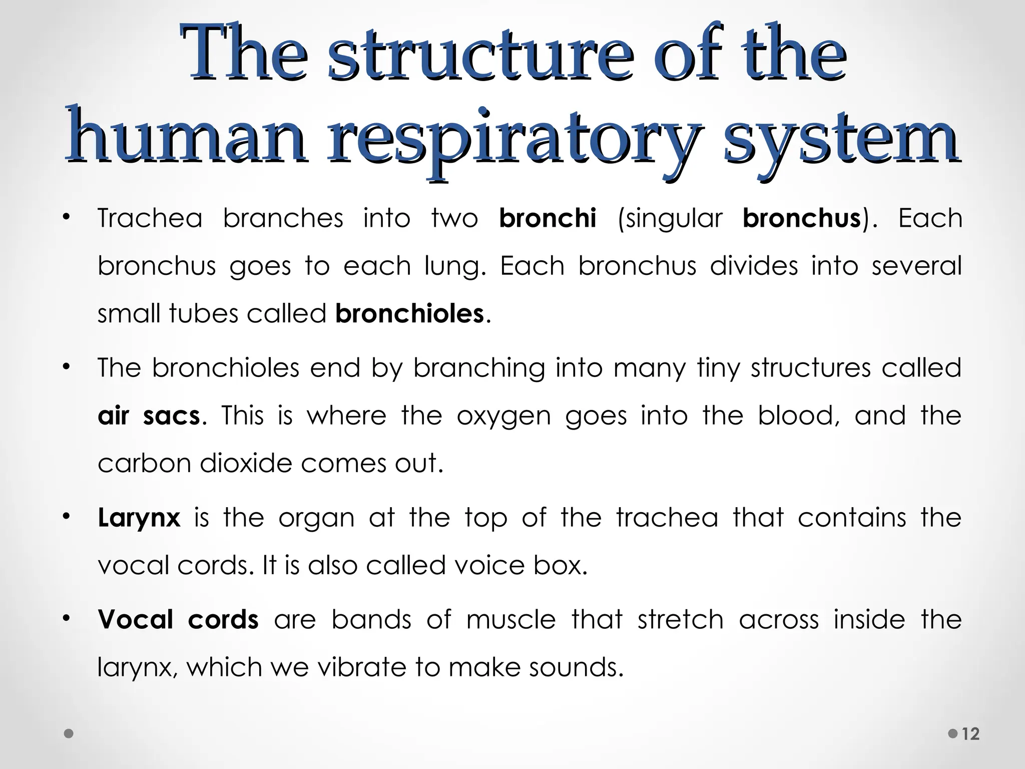 1.1 Human respiratory system.ppt........ | PPT