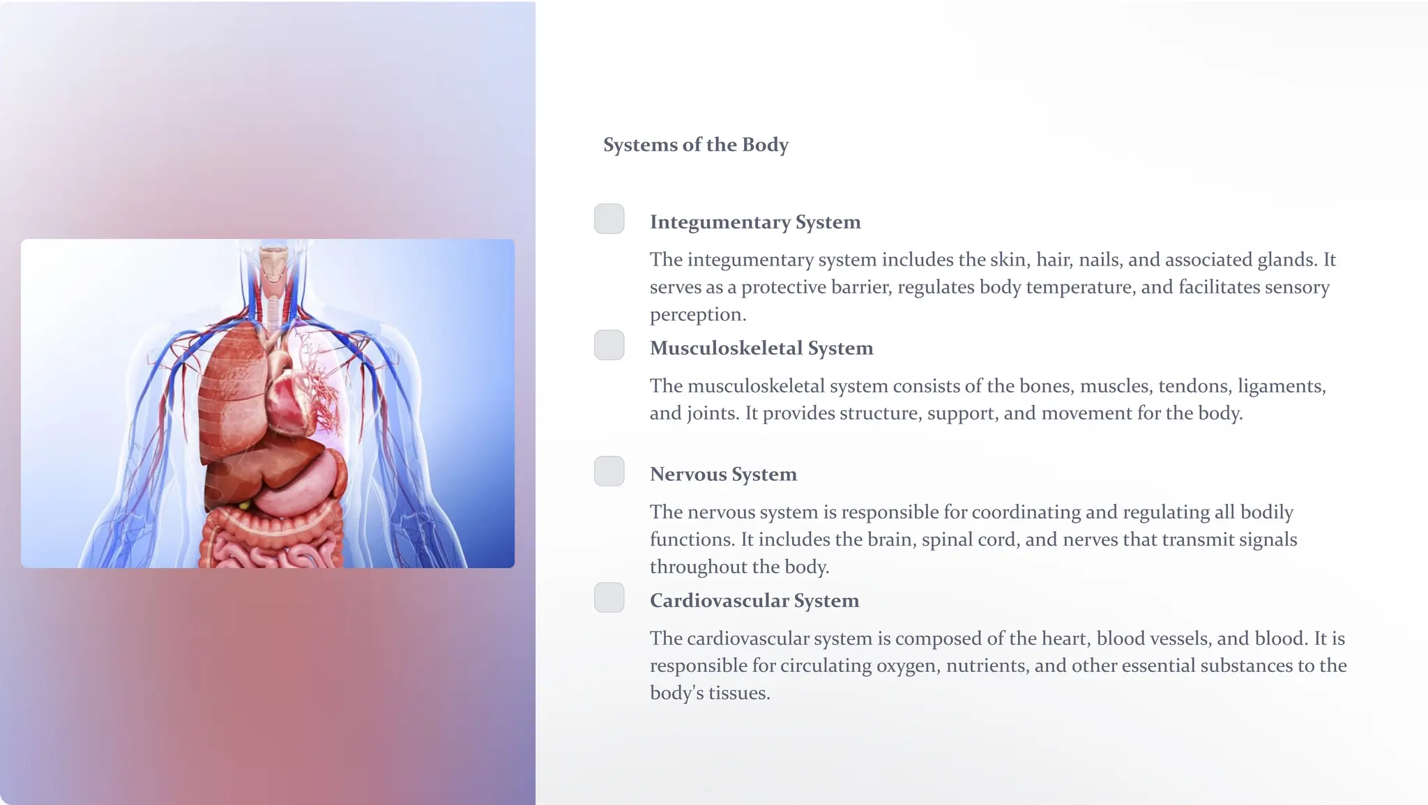 1. Introduction+to+the+Musculoskeletal+system.pdf