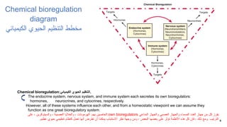 An Overview of Chemical Bioregulation in Vertebrates | PPTX
