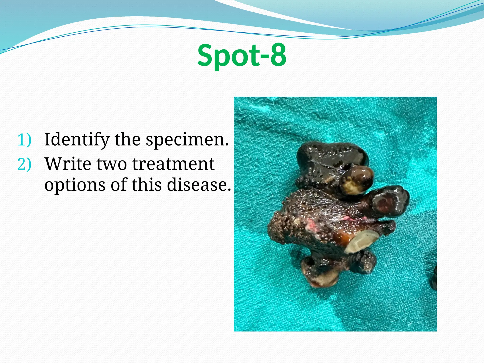 1. Final year 2nd terminal-spots-group A (2).pptx